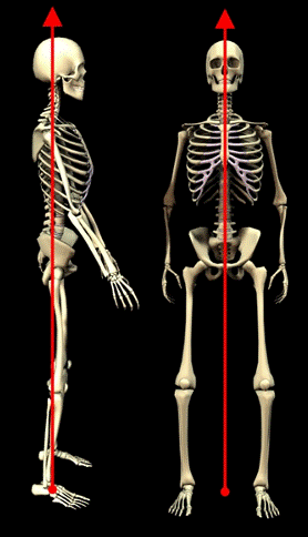 What Is Chiropractic BioPhysics® (CBP®) Technique? - American Journal ...
